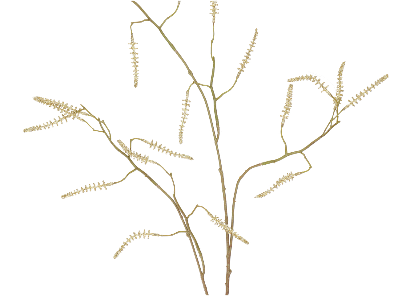 Kwoka Floristik | Zweig Acalypha metallic L95cm | online kaufen